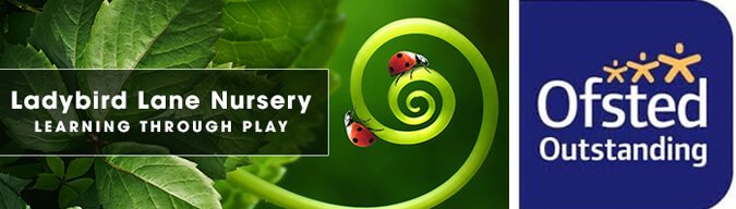 Ladybird Lane Nursery – Learning Through Play